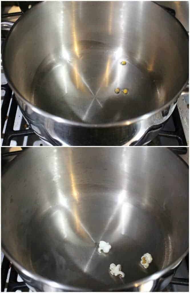 3 Ingredient Old Fashioned Kettle Corn Popcorn - My Cooking Journey